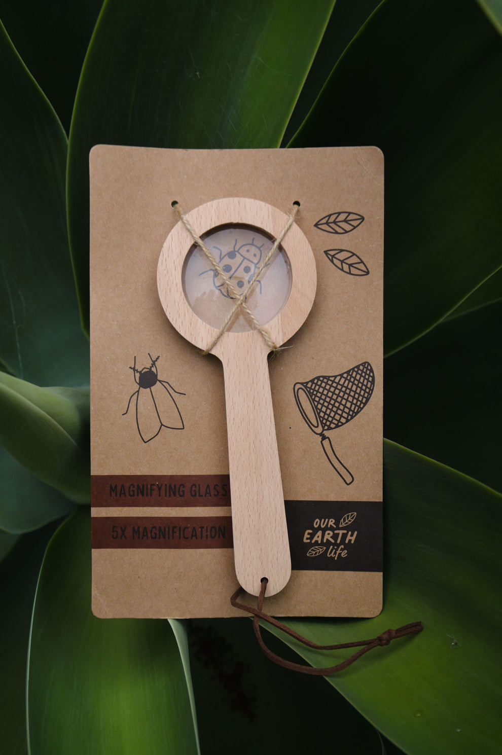 Wooden Magnifying Glass – The Forest Folk